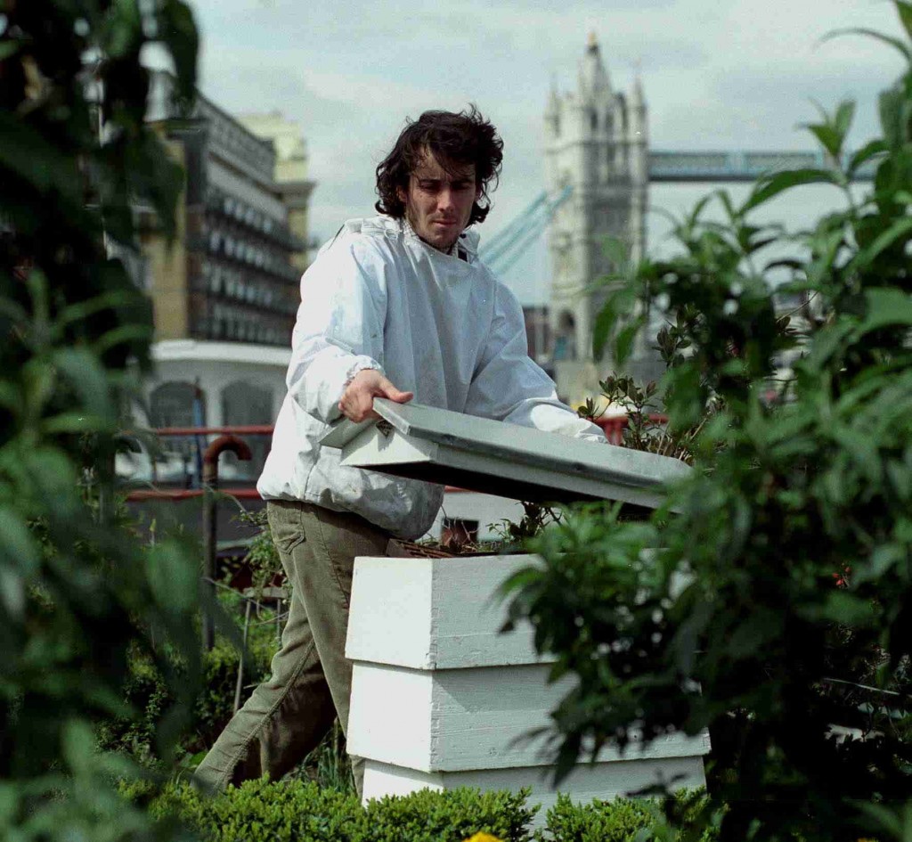 Steve Benbow - David Higham Associates